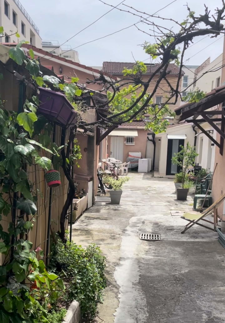 Bulle De Verdure -Charmante Maisonnette - Villeurbanne