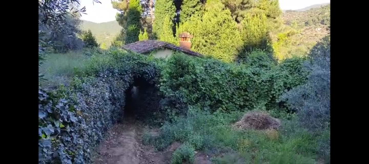 El Refugio Del Mercader - Arenas de San Pedro