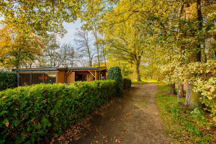 4 Persons Welness Woodhouse With Spa & Sauna - Oldenzaal