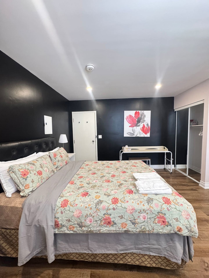 Stylish Studio In Dt Toronto W/t Pvt. Bth & Kit - Mississauga