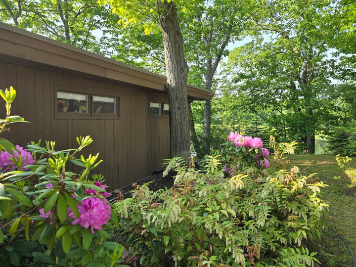 Midcentury Lakeside Guest Suite - New Haven
