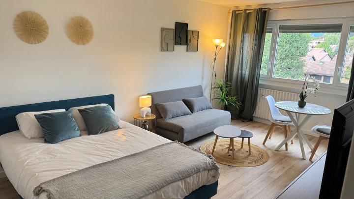 Studio Cosy Aux Portes De Geneve - Ferney-Voltaire