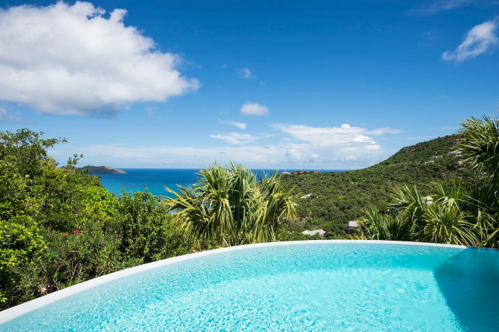 Lataniers - Saint Barthélemy