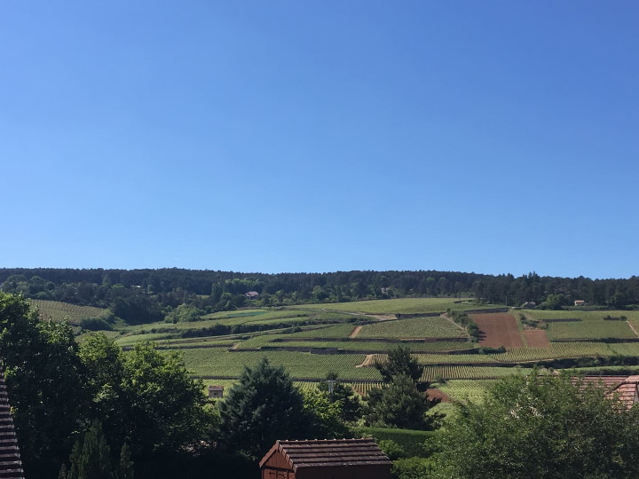 Maison Entier Au Cœur Des Vignes - 본느