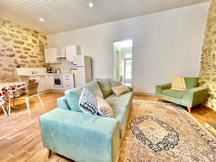 House In A Medieval Village - Langon