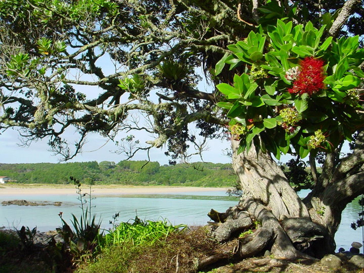 The Tapuaetahi Beach House - Bay of Islands