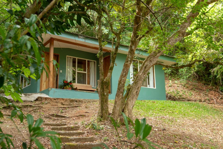 The House In The Middle Of The Forest - Monteverde