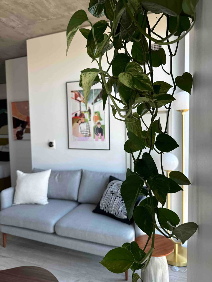 Montis - Free Parking/dt Pdx/rooftop/gym/pool - Portland, OR