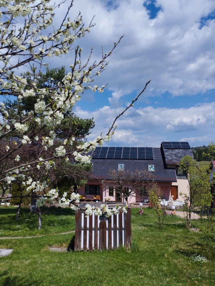 Pensiunea La Plai: Oază De Relaxare - Vatra Dornei