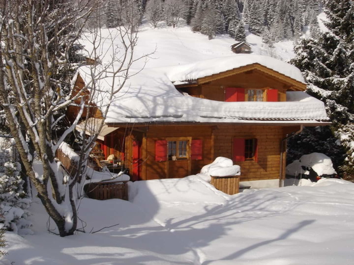 Exclusive, Charming 4 Bedroom Chalet Near Gstaad - Gstaad
