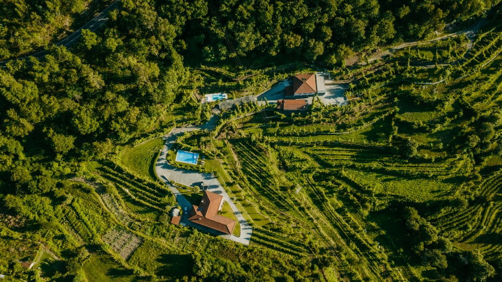 Adega : Piscine Avec Vue Pittoresque Sur Le Vignoble @Gerês Par Wm - Terras de Bouro