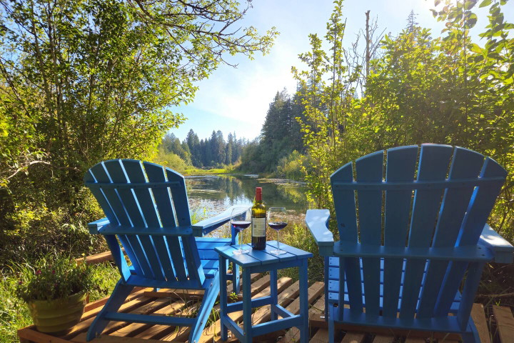 Alder Falls: Olympic Np | Firepit | Lake Access - Shelton, WA