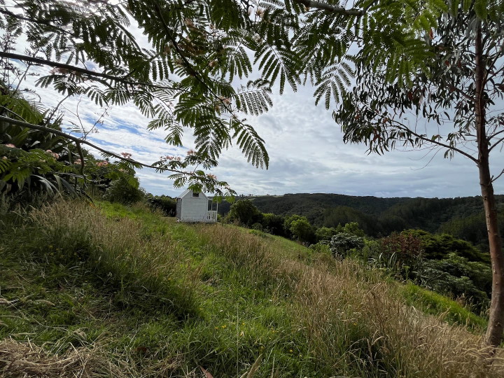 Relax In The Middle Of The Tree Of Life - Waipu
