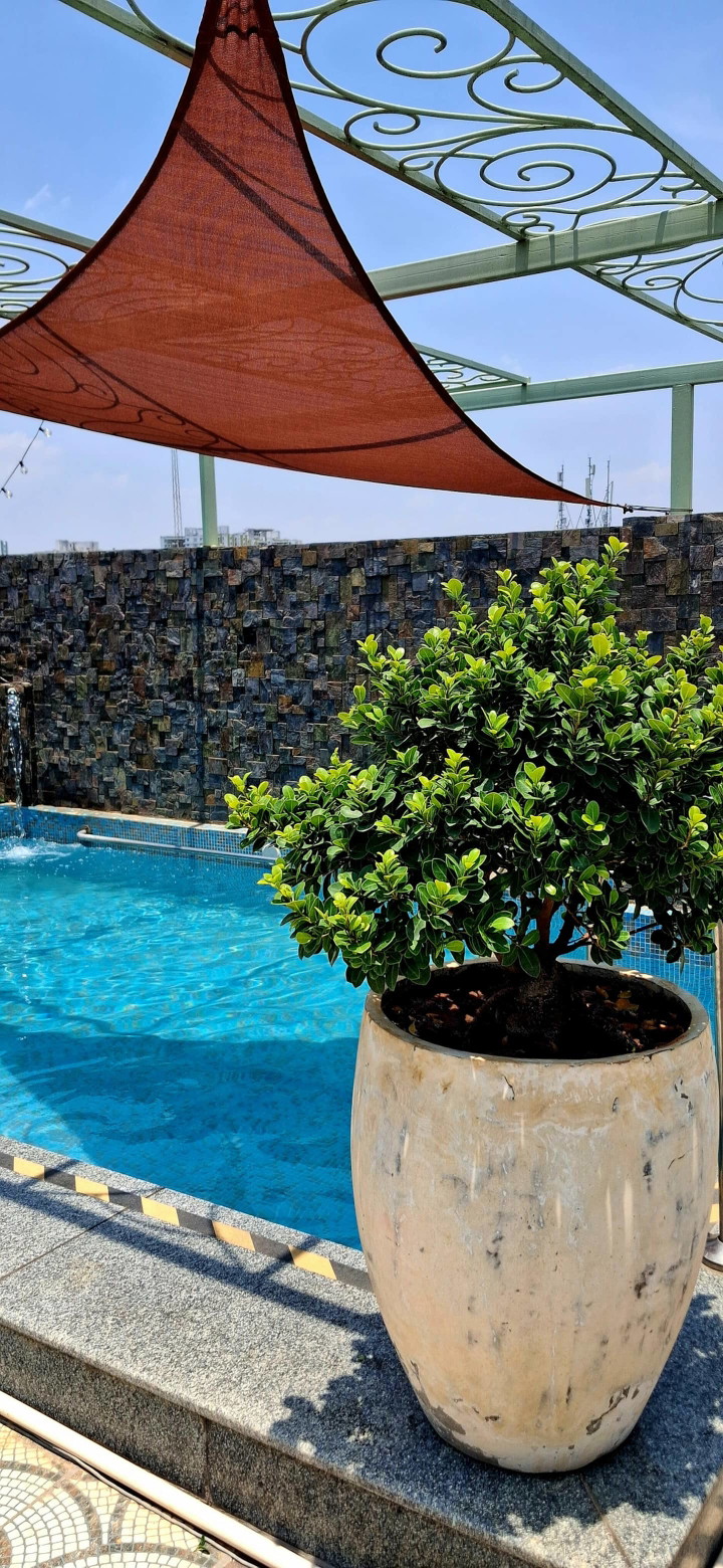 ŚUkah: 'Pool N Sway' - Bangalore