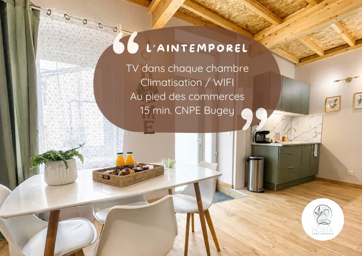 L'aintemporel_ Ravissant Duplex En Centre Ville - Lagnieu