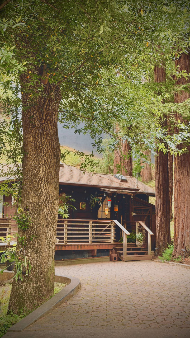 Enchanted Redwood Cottage Walk To Town Mill Valley - Tiburon