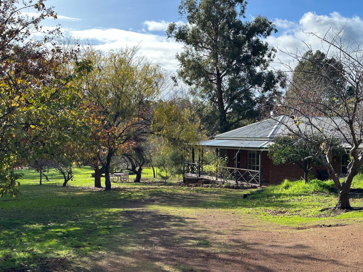 Bois De Pommier - Bridgetown