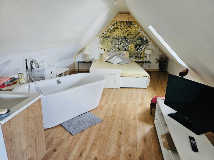 Grand Loft Avec Baignoire Vue Mer à Plomodiern - Cast