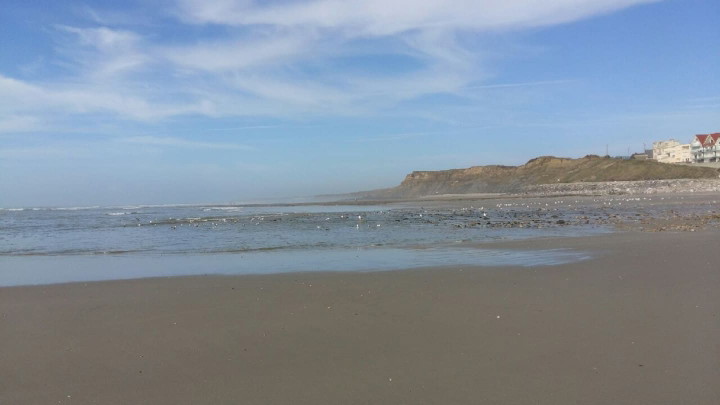 La Natur'aile, Elégant Duplex Face Mer & Nature - Audresselles