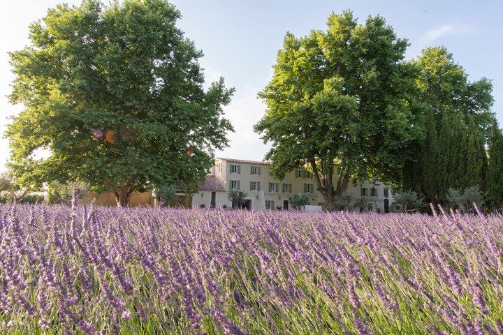 La Bastide Des Lavandins - Cavaillon