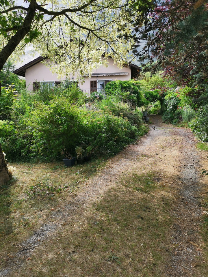 Villa Convivial, Pres De Geneve. Animaux Acceptes - Archamps