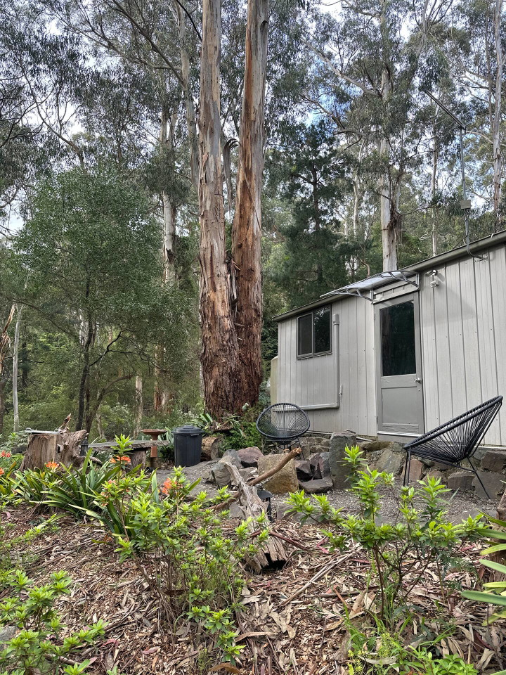 Charming Forest Studio - Currawong Rd