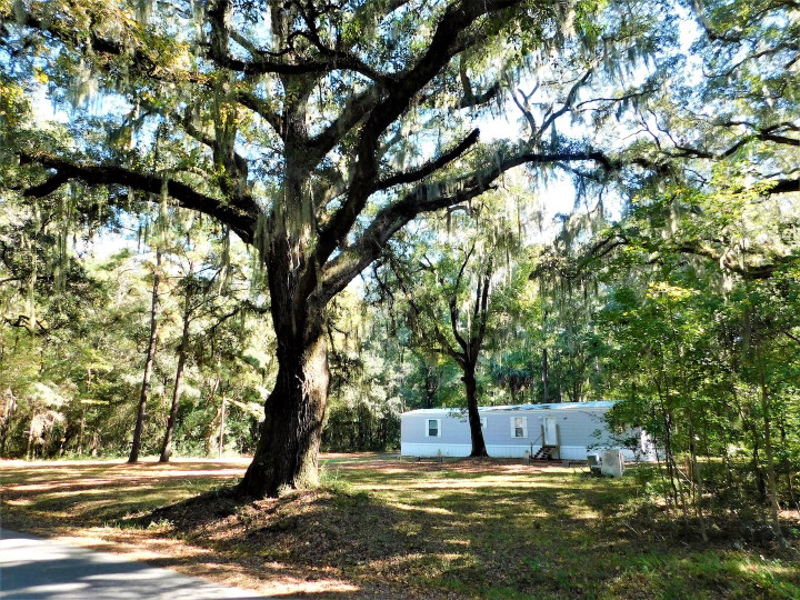 Secluded Lowcountry Retreat. Boaters Welcome! - Beaufort, SC