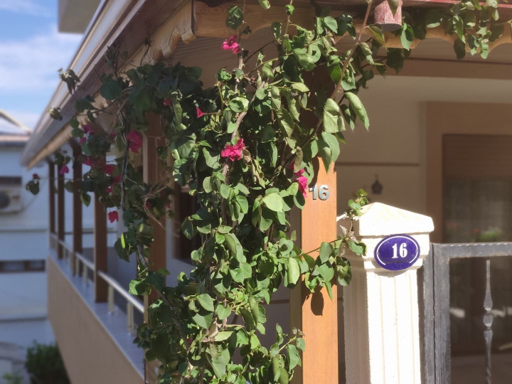 Nurhan'ın Evi

Sigacik Marinaya 200 Metre - Seferihisar