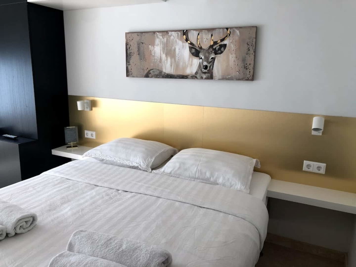 Bedroom With En-suite Bathroom On Own Floor - Amsterdam