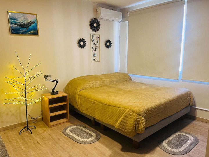 Acogedor Y Cómodo Departamento, Número 405 - Santiago