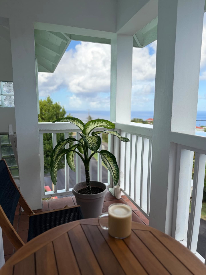 Arrows Hillside Retreat With Views - Montserrat
