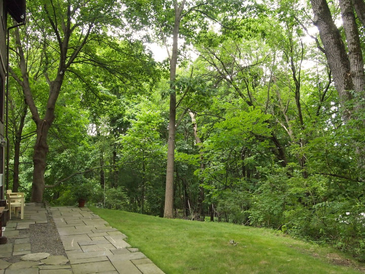 Backyard Apartment - Ithaca