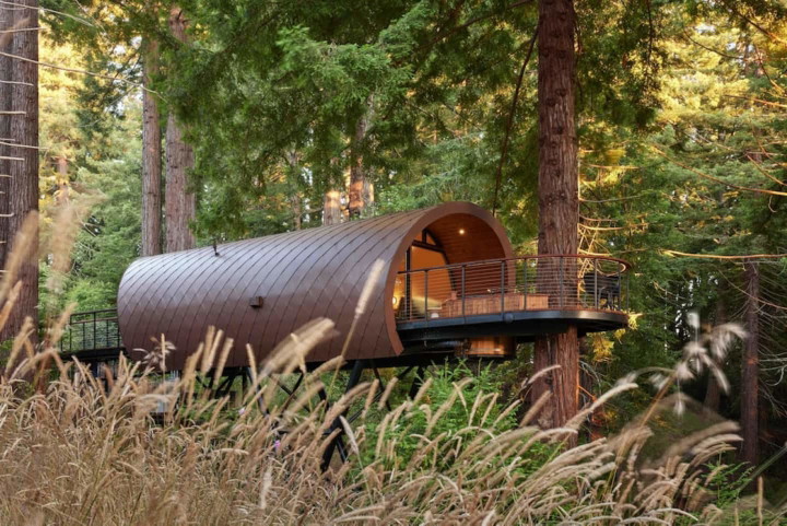 * The Spectacular Spyglass Treehouse * - Bodega Bay, CA