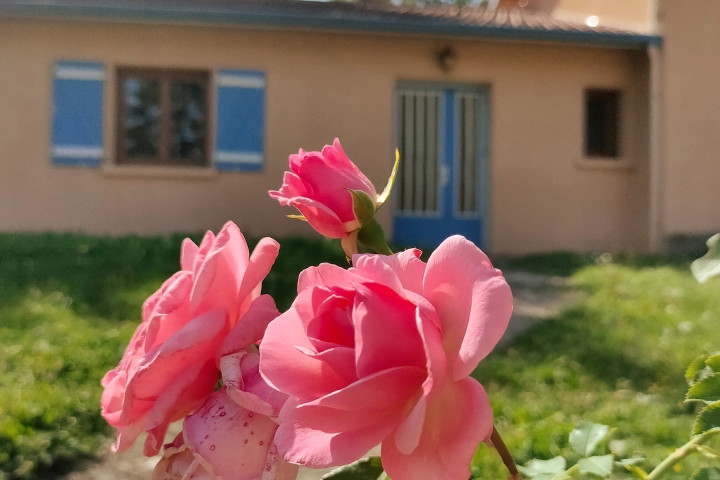 Maison Gîte "Au Vieux Chêne" - Lagnieu