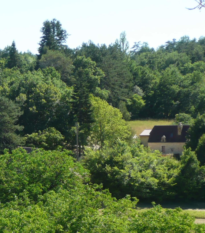 Havre De Paix Proche De Sarlat, Piscine Chauffée - Castelnaud-la-Chapelle