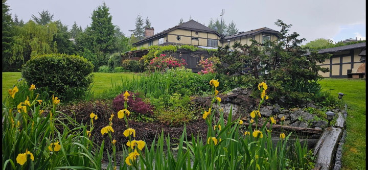 Urban Oasis 1 - Nature Tranquility - Langley
