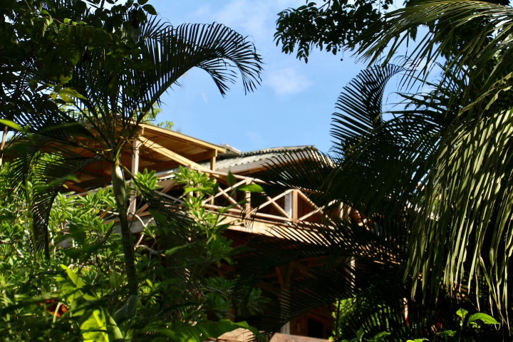 Jungle Casita W/ Ocean Access
& Pool  Eden Jungle - Panama