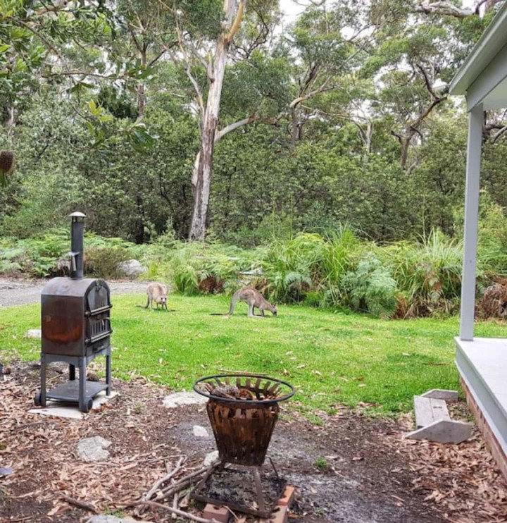 Wrights Beach Bungalow By Book Jervis Bay - Walking Distance To The Water - Jervis Bay