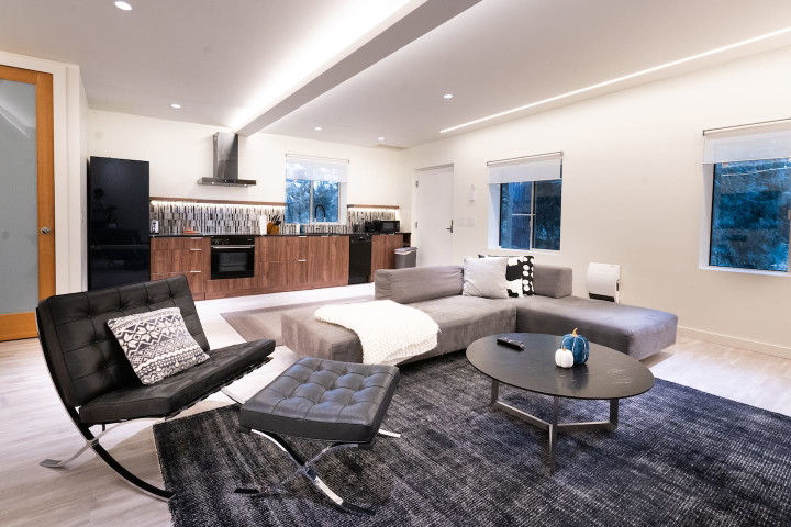 Modern Loft With Park Like Setting View - Kirkland, WA