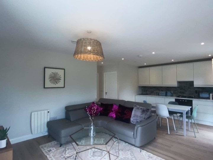 Danú Lodge@ Boyne View House, Drinadaly Trim Meath - Trim