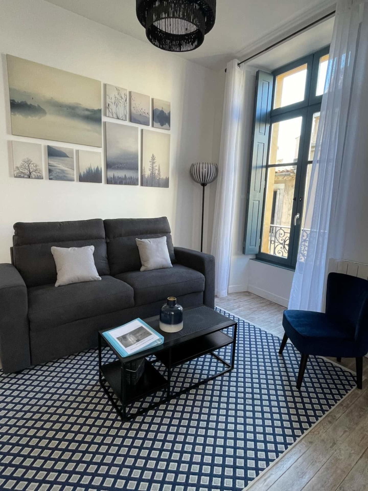 Carcassonne: The Completely New "Blue" Teddy - France