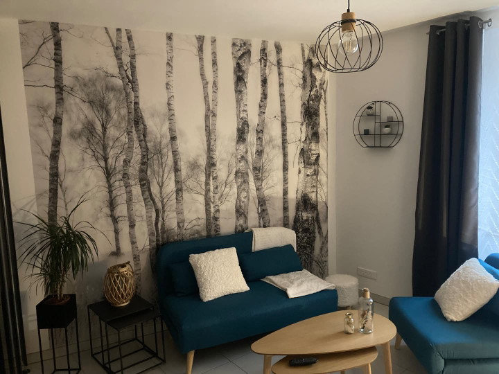 Appartement F2 Calme Aux Portes Du Centre Ville - Sélestat