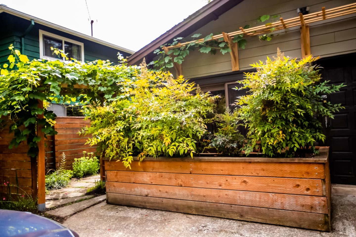 Wilderness In The City - Portland, OR