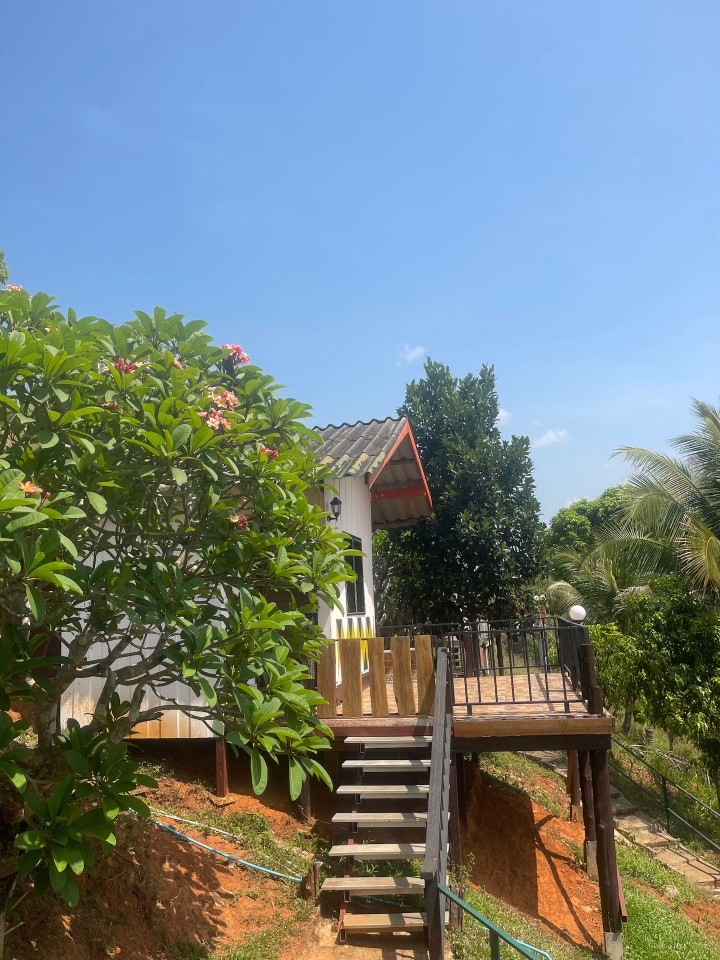 Forest Cabin - Chiang Mai
