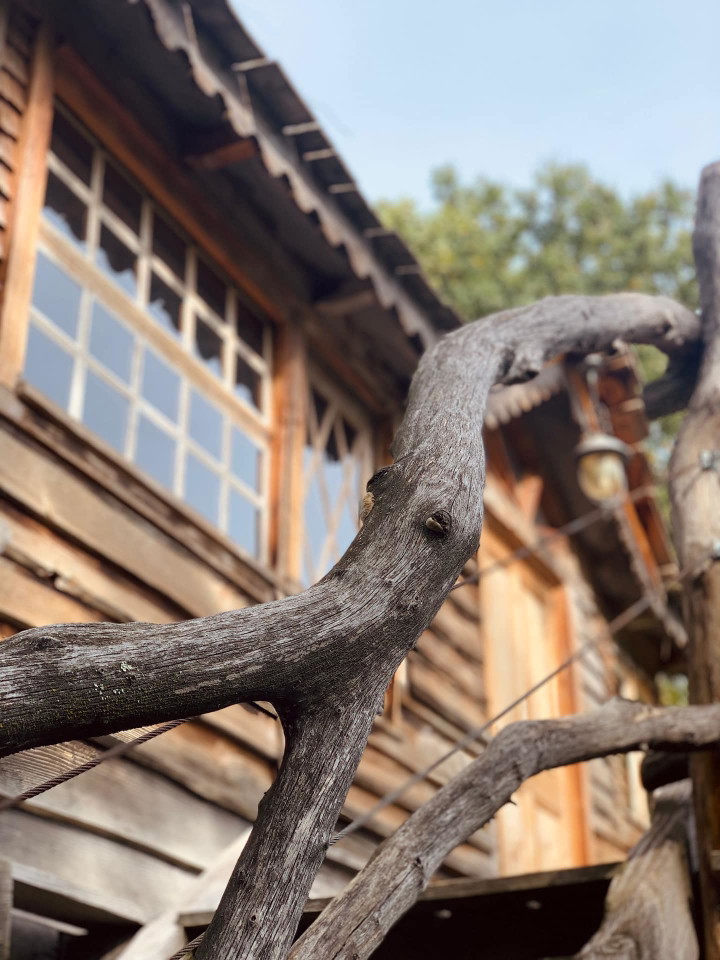 La Cabane Dans Les Arbres - Avignon