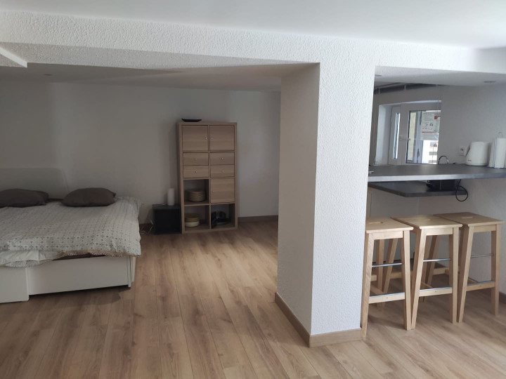 Grand Studio En Centre Ville - Clermont-Ferrand