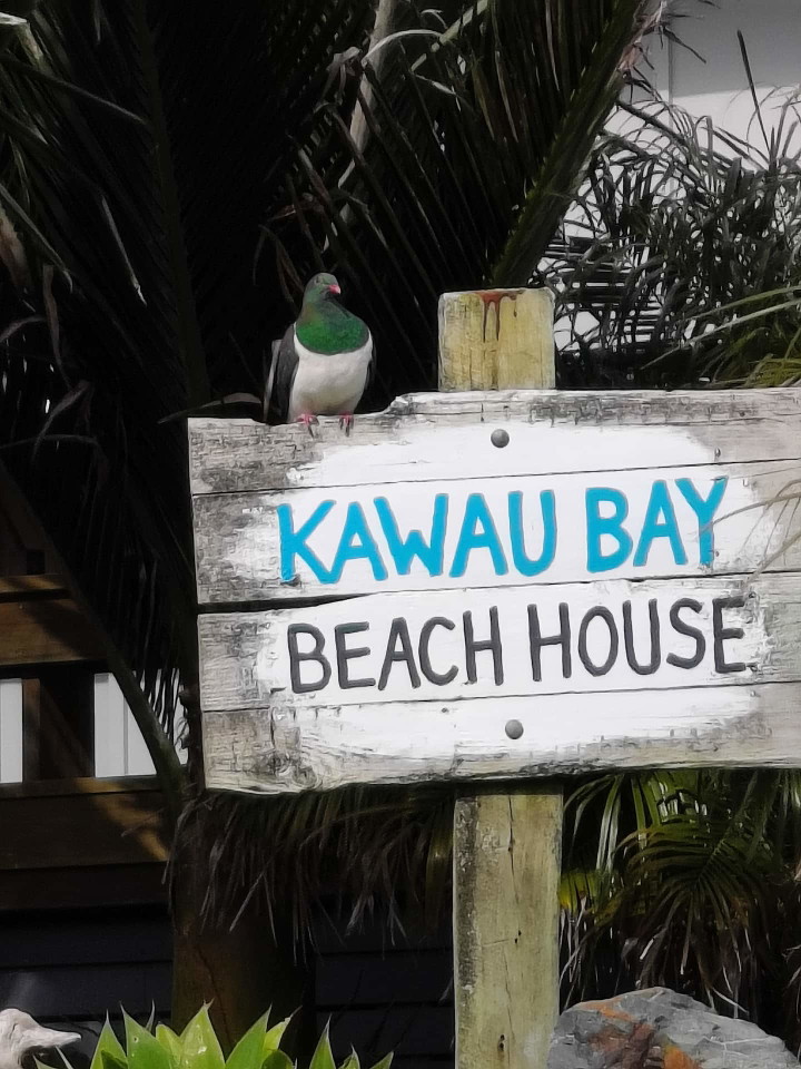 Comfort And Relaxation At Kawau Bay Beach House. - Matakana