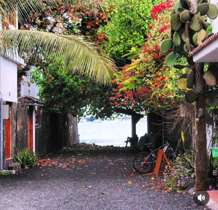 Ventana Al Océano Puerto Ayora, Galápagos - Puerto Ayora