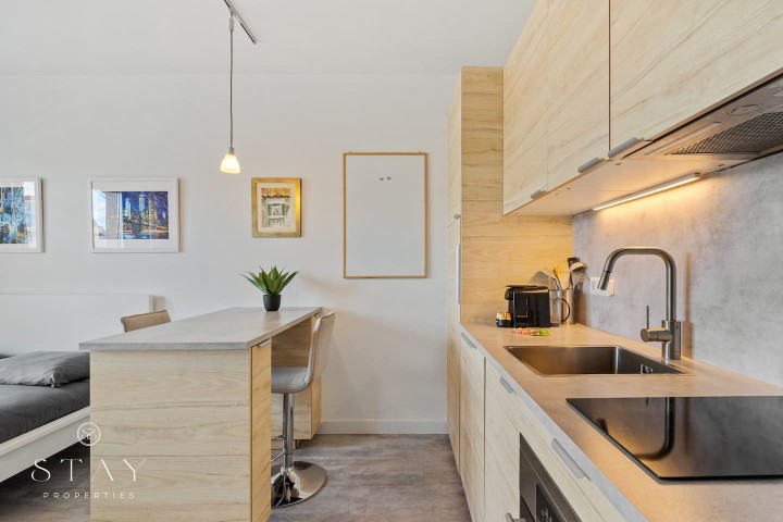 Fully Furnished Studio Near Luxembourg Station! - Luxembourg
