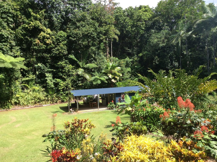 Holiday Cabin In The Daintree Rainforest - Daintree